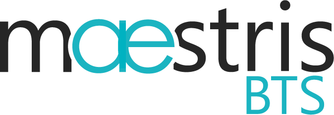 Maestris BTS | Ecole Bac+2 dans 9 villes de France